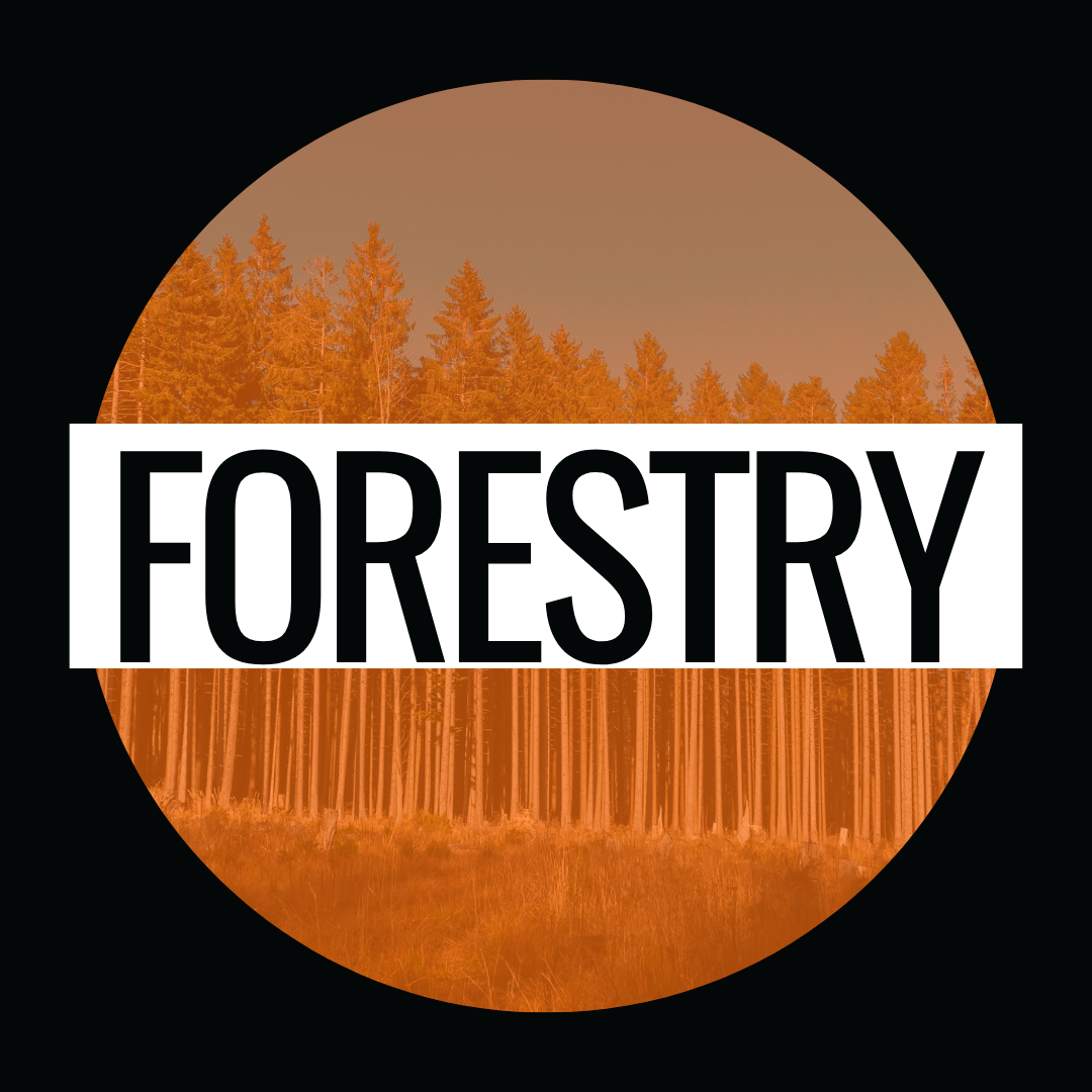 Forestry – REX Equipment - The Best Machines You’ll Ever Own.